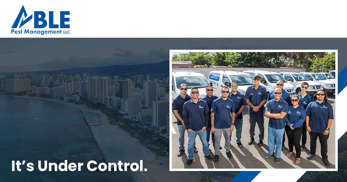 Pest Control in Honolulu HI Able Pest Management