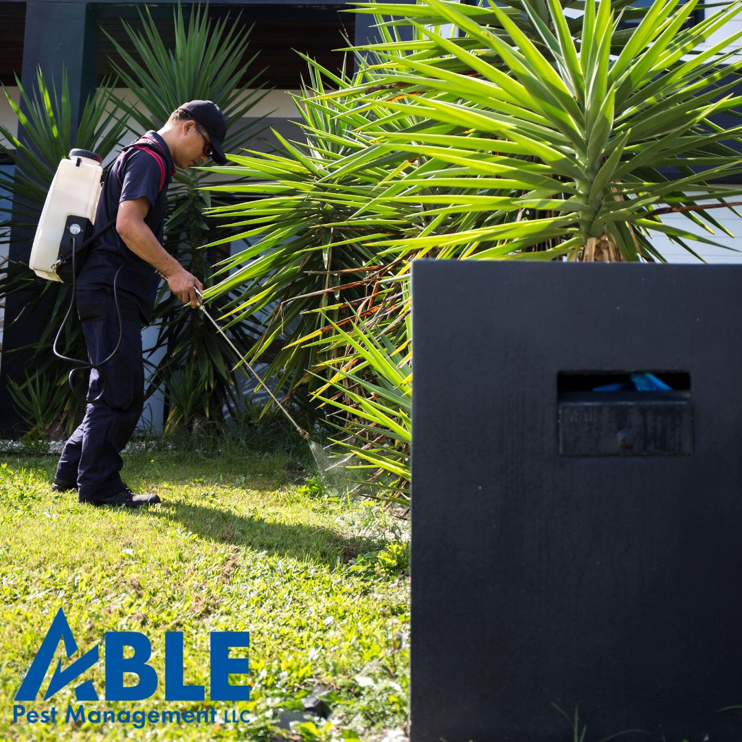 The Benefits of Professional Pest Management for Hawaiian Homes